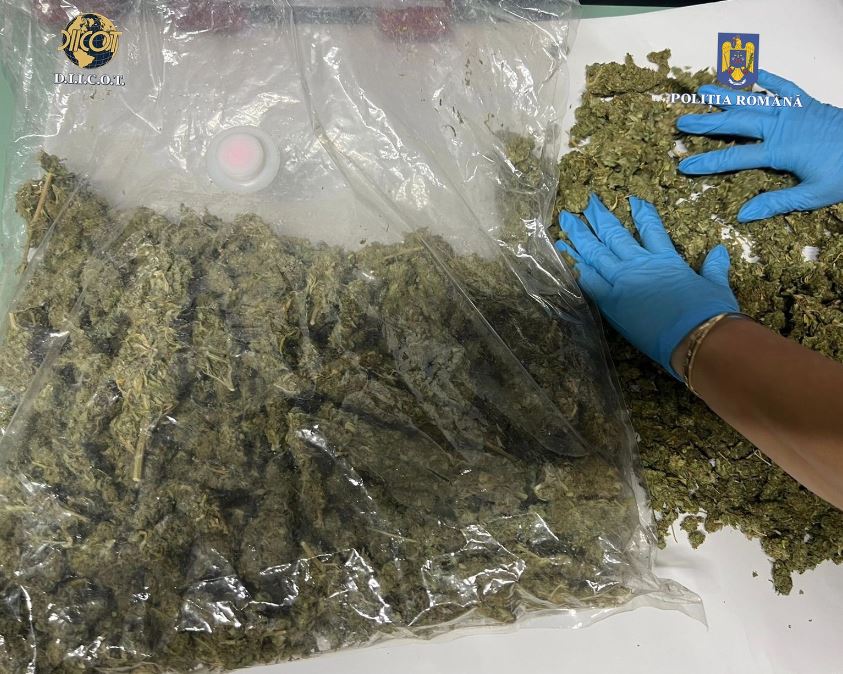 Traficant de droguri prins în flagrant în Satu Mare! (FOTO)
